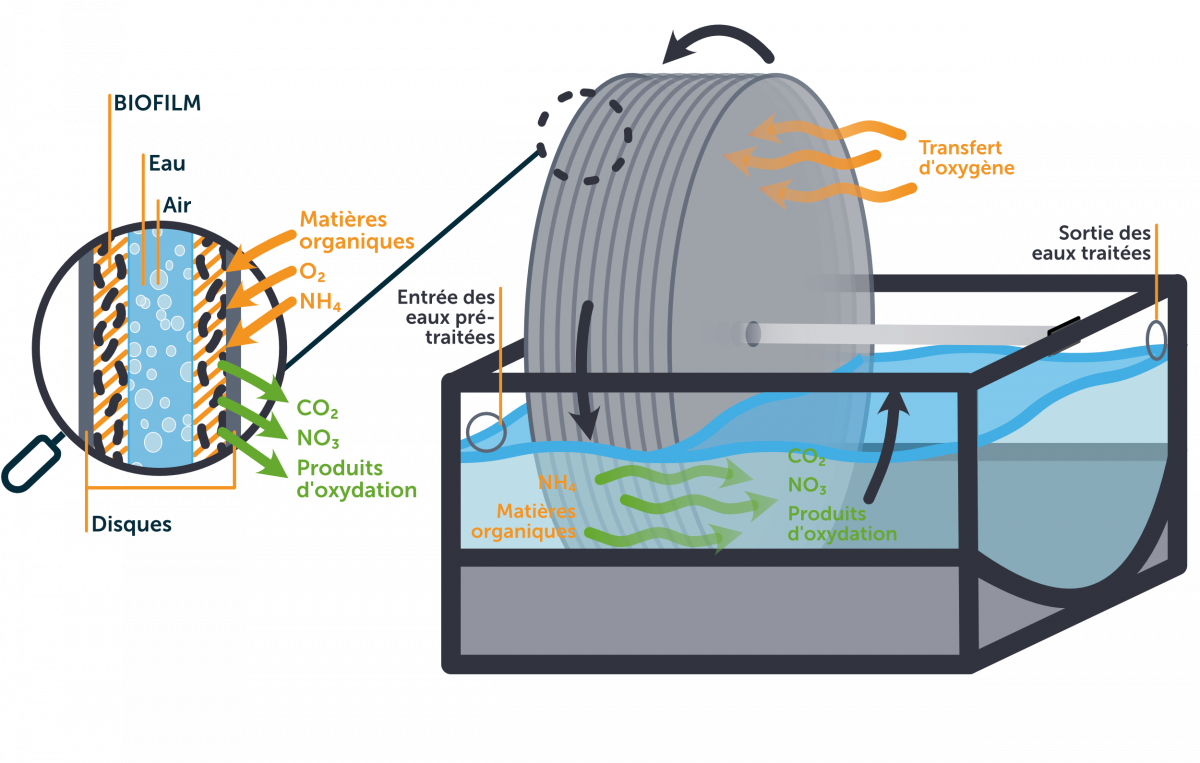 Comment Fonctionne BIOROTOR | Disques Biologiques Rotatifs
